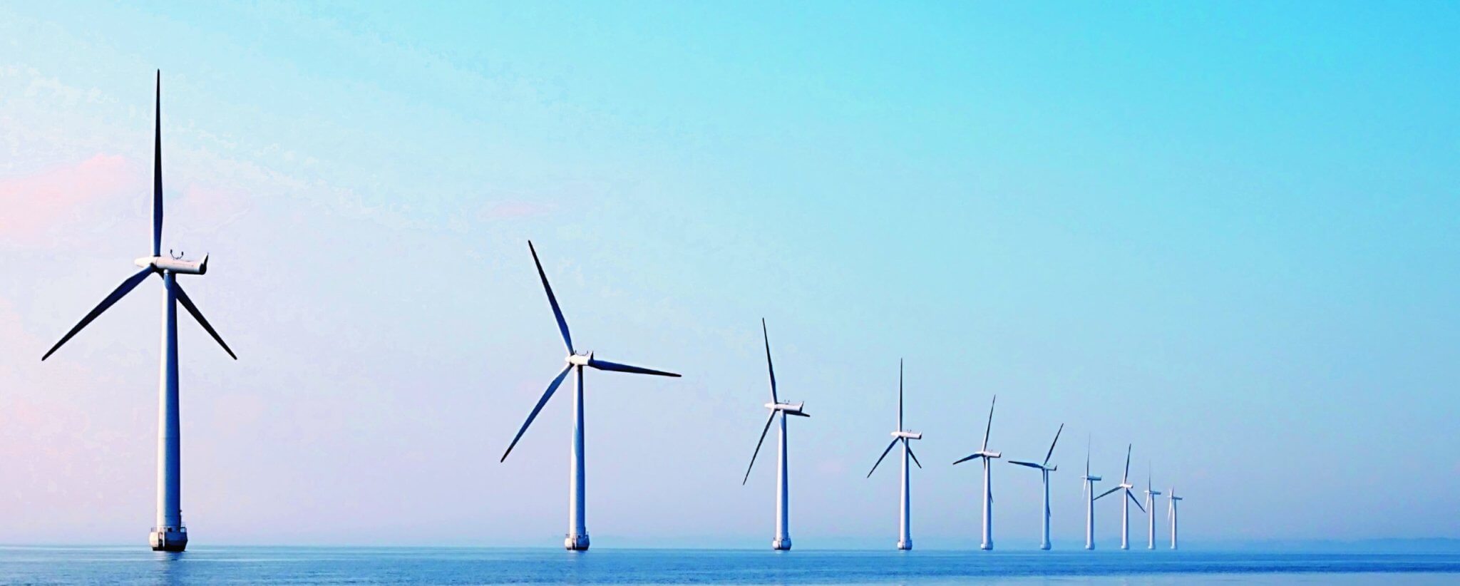 Catapult collaboration launches business excellence programme - The ...